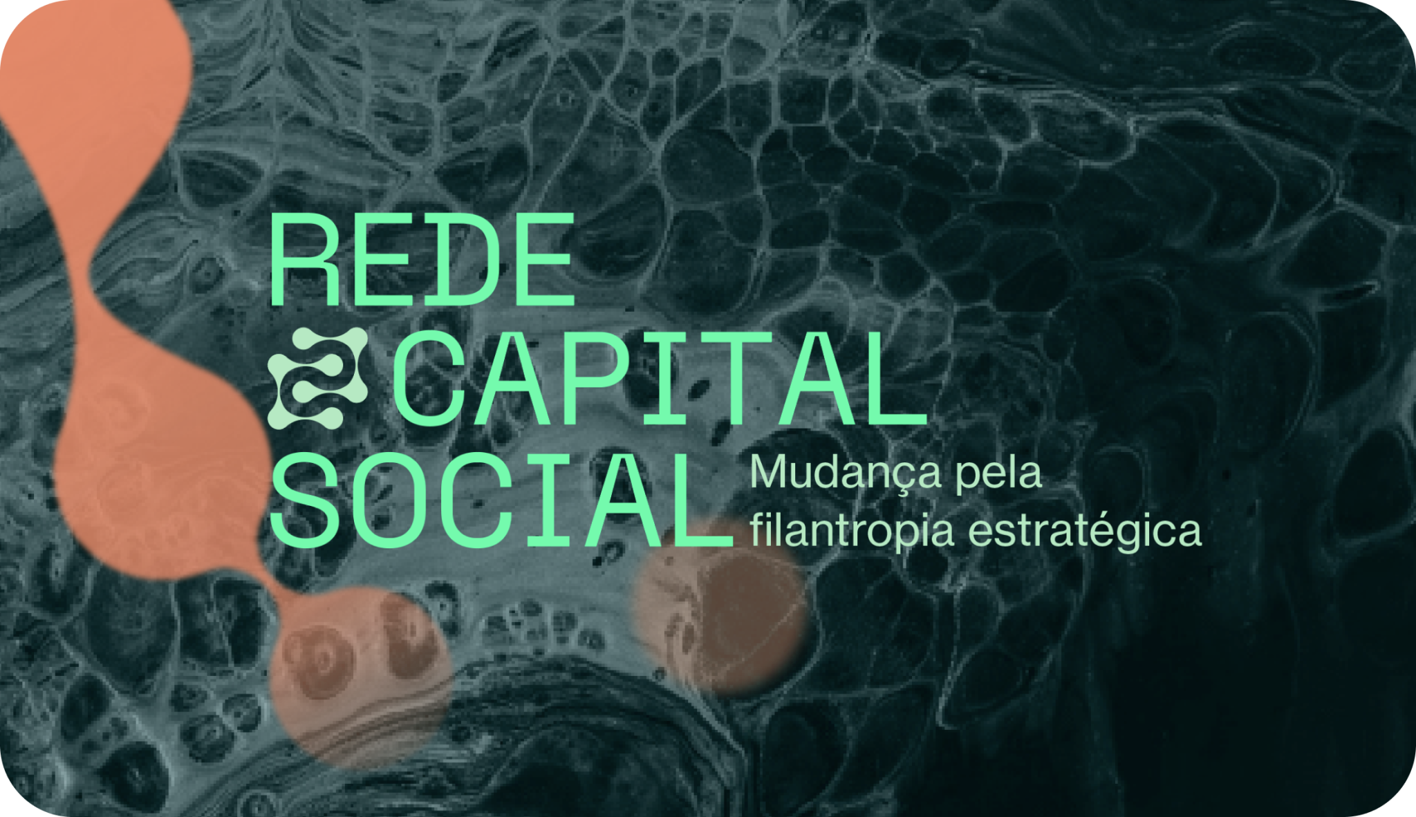 Rede Capital Social - Filantropia Estratégica